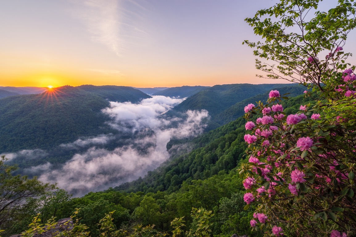 WVU Medicine Brings Expert Cardiology and Vascular Care to Your ...